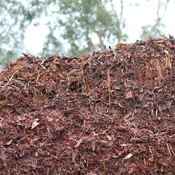 Bark/Mulch Hoop Pine Bark 1 inch - Coastal Landscape Supplies