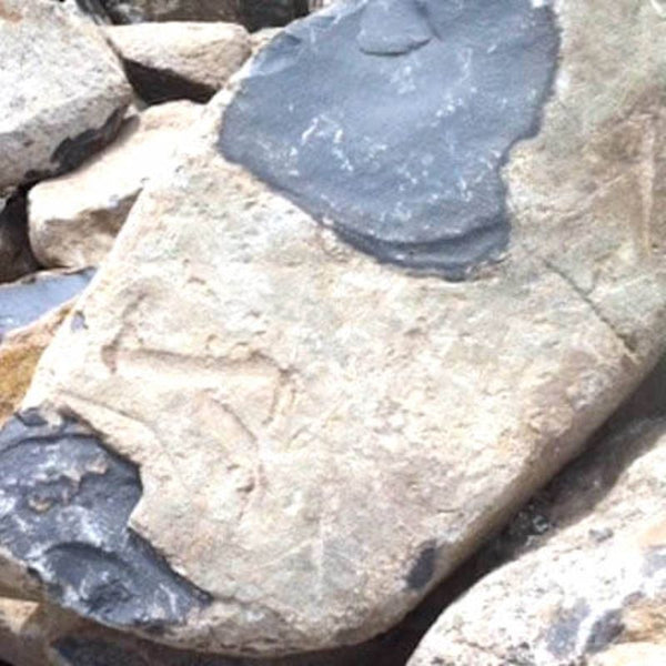 Rocks Bush Rock 1m3 - Coastal Landscape Supplies